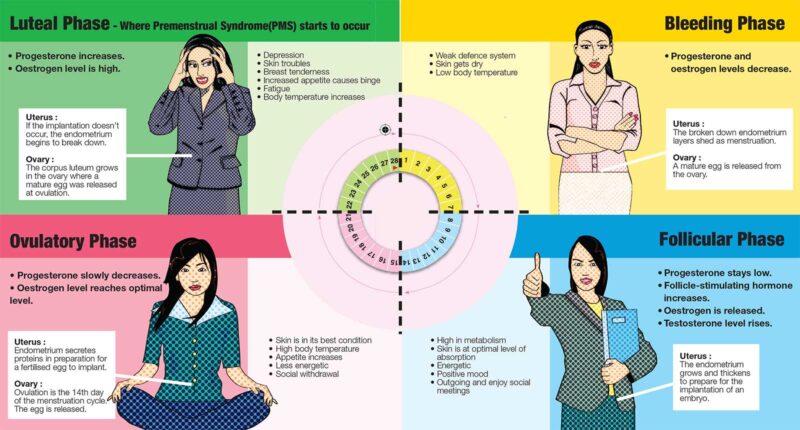 Making the most of your natural cycle - Natural Womanhood
