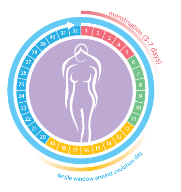 When trying to conceive, save months by using fertility awareness ...
